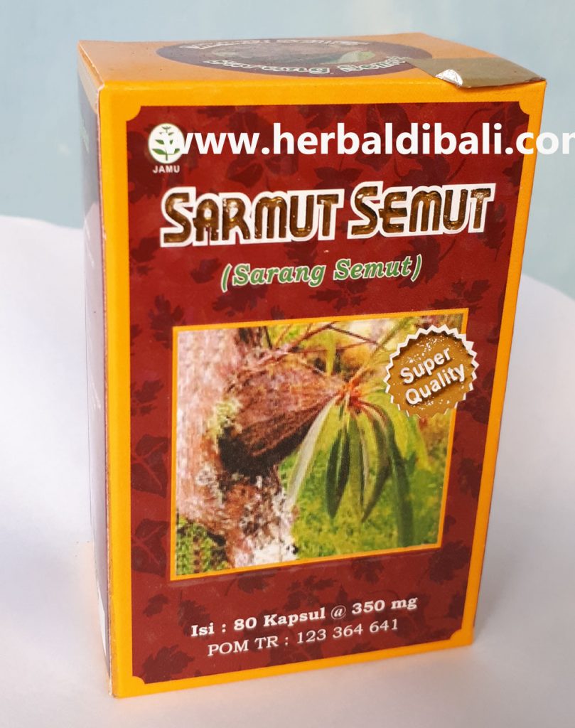 Jual Kapsul Ekstrak Sarang Semut di Denpasar Bali – Jual produk Herbal ... Jual Kapsul Ekstrak Sarang Semut di Denpasar Bali – Jual produk Herbal ...