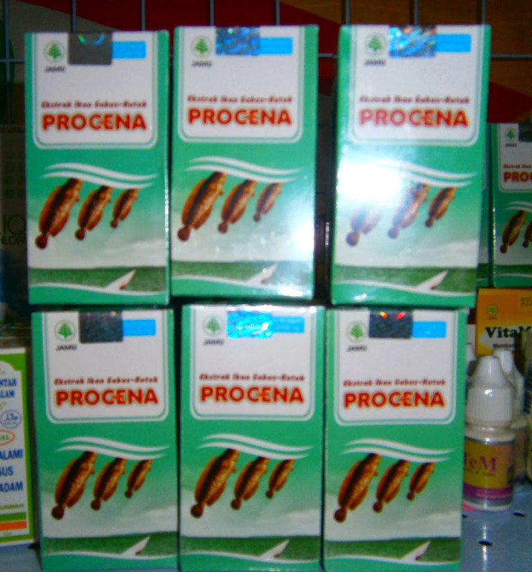 Jual Procena Ekstrak Ikan Gabus/Kutuk di Denpasar Bali – Jual produk ...