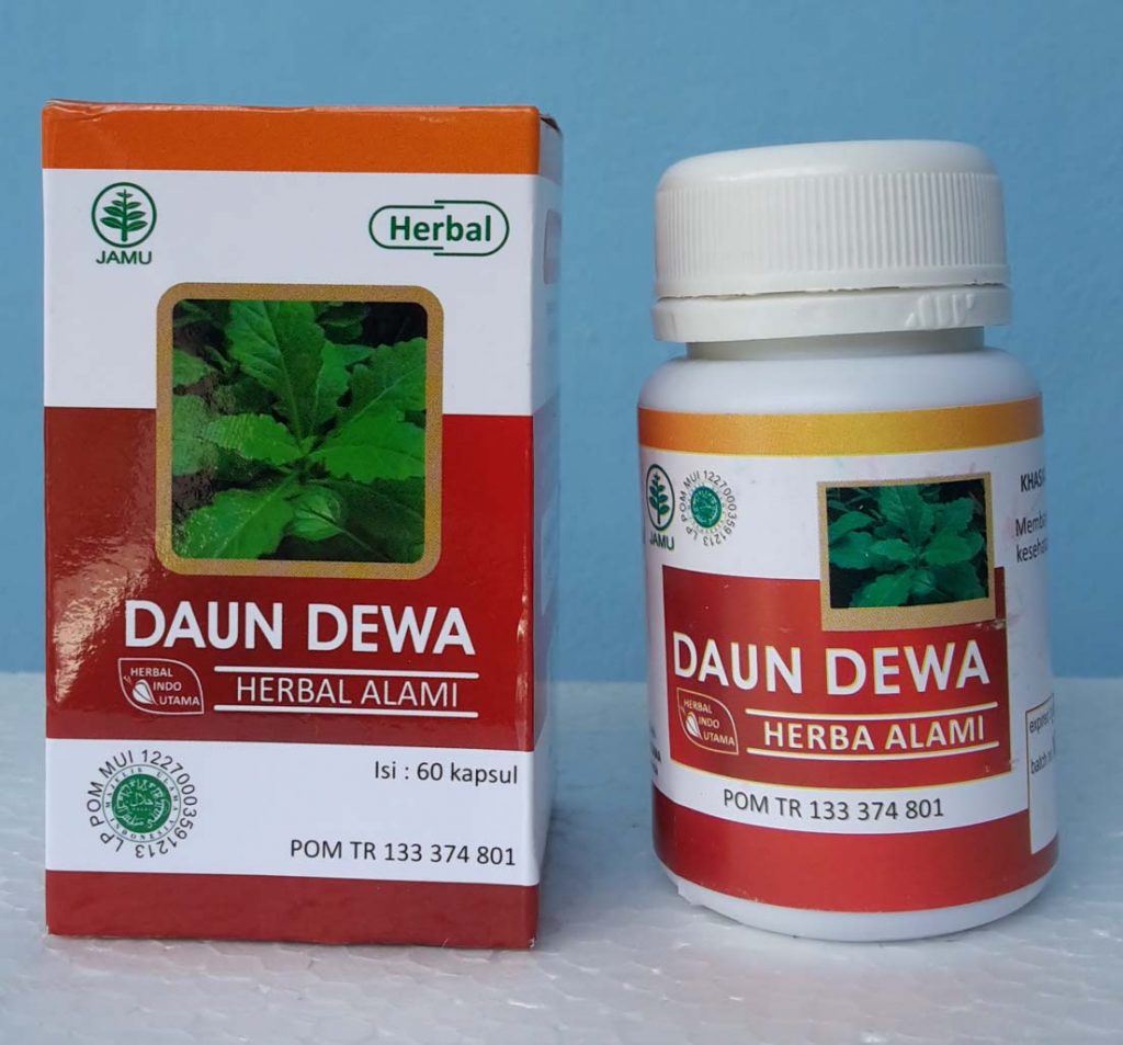 Jual Kapsul Daun Dewa di Denpasar Bali – Jual produk Herbal di Denpasar ...