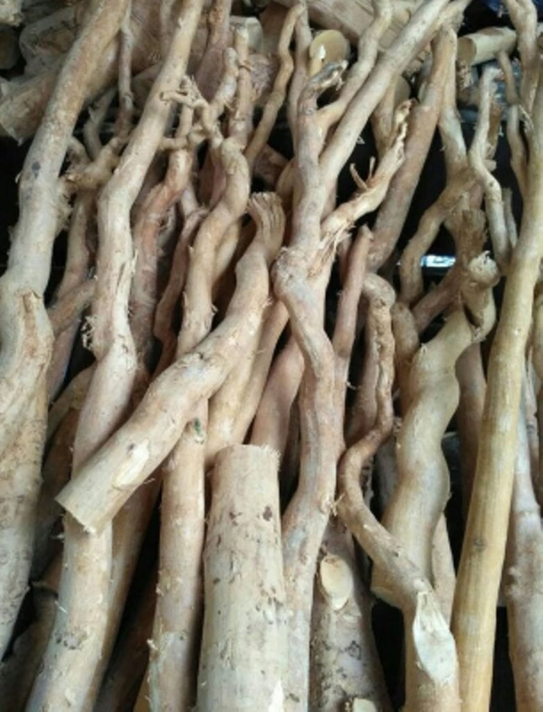 Jual Akar Pasak Bumi Kalimantan bentuk Batangan di Denpasar Bali – Jual ...